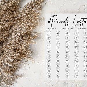 Pounds Lost Tracker, Weight Loss Tracker, 100 Pounds Lost, Weight Loss ...