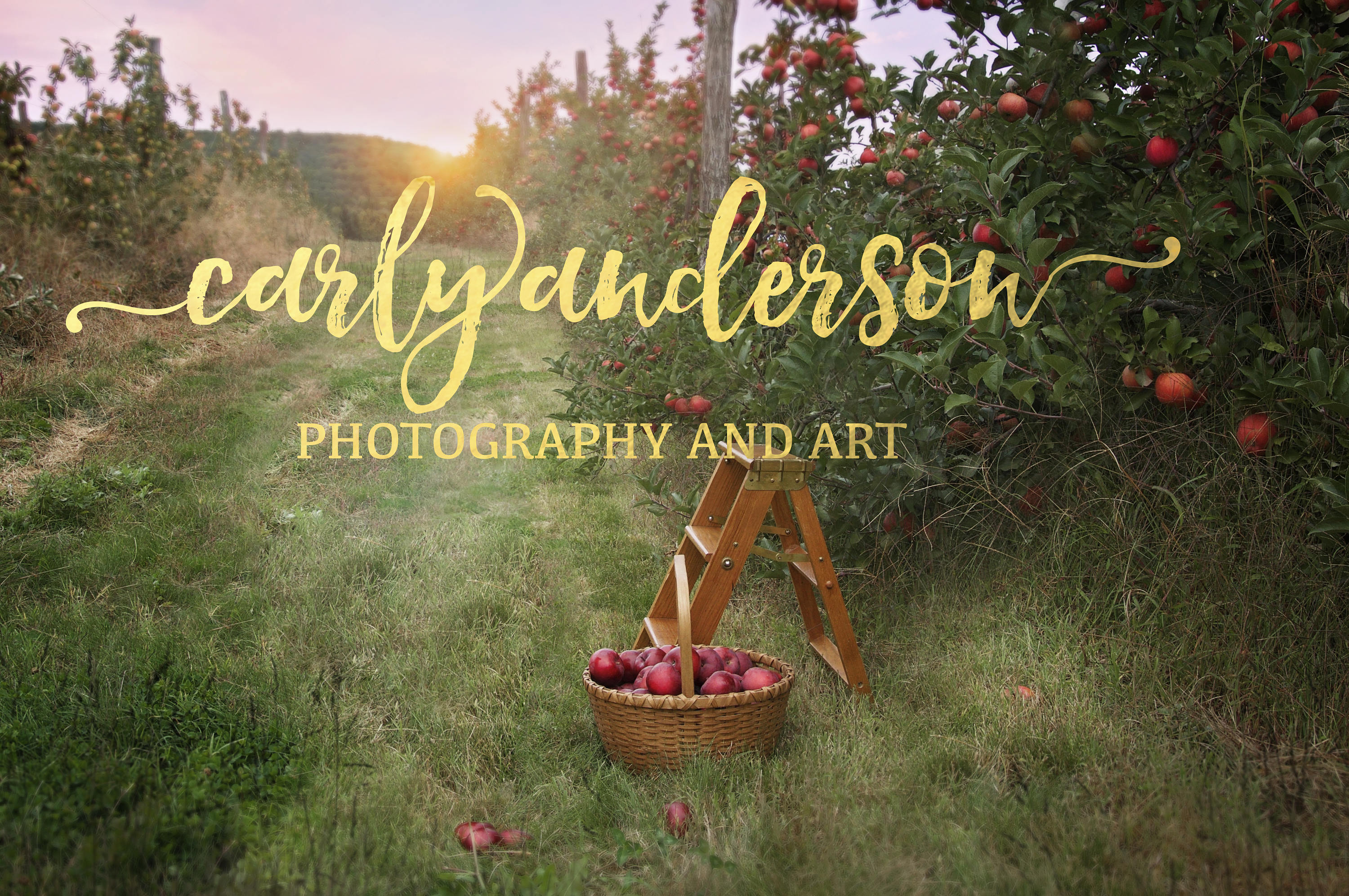 Apple Picking Background - Etsy