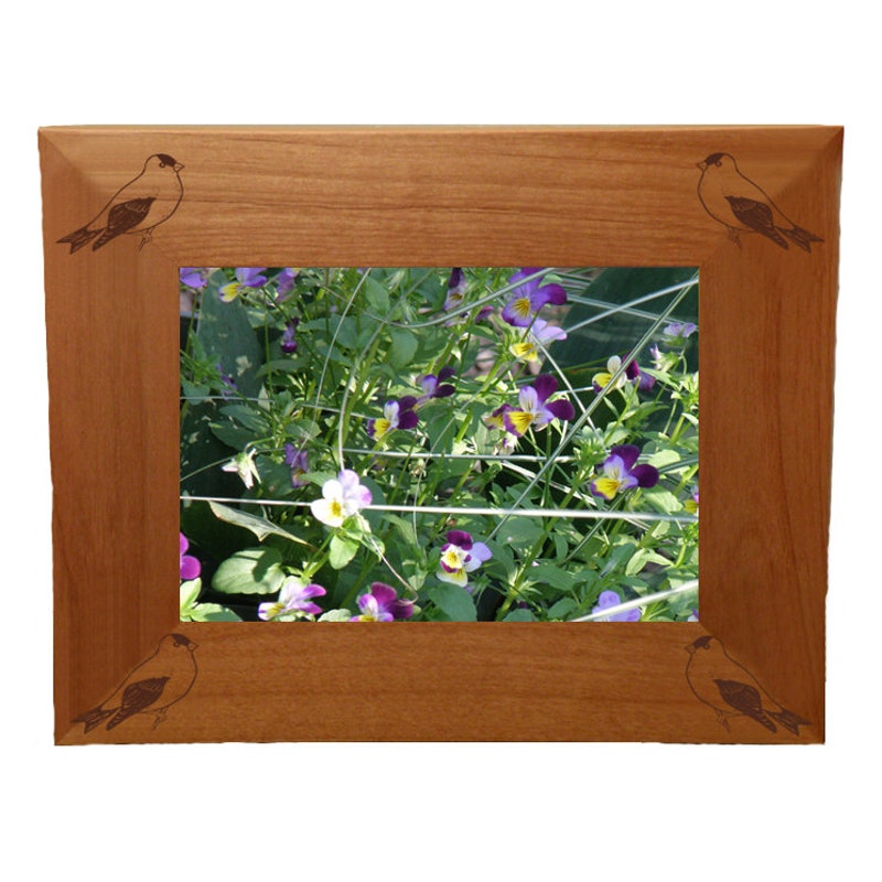 Birds Pictures - Etsy