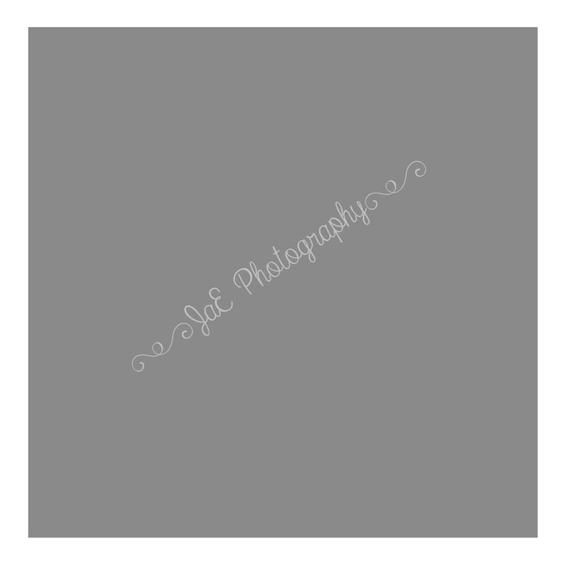 In the BOX Photography TEMPLATE - Simple Pack - 4 Templates - for "in ...