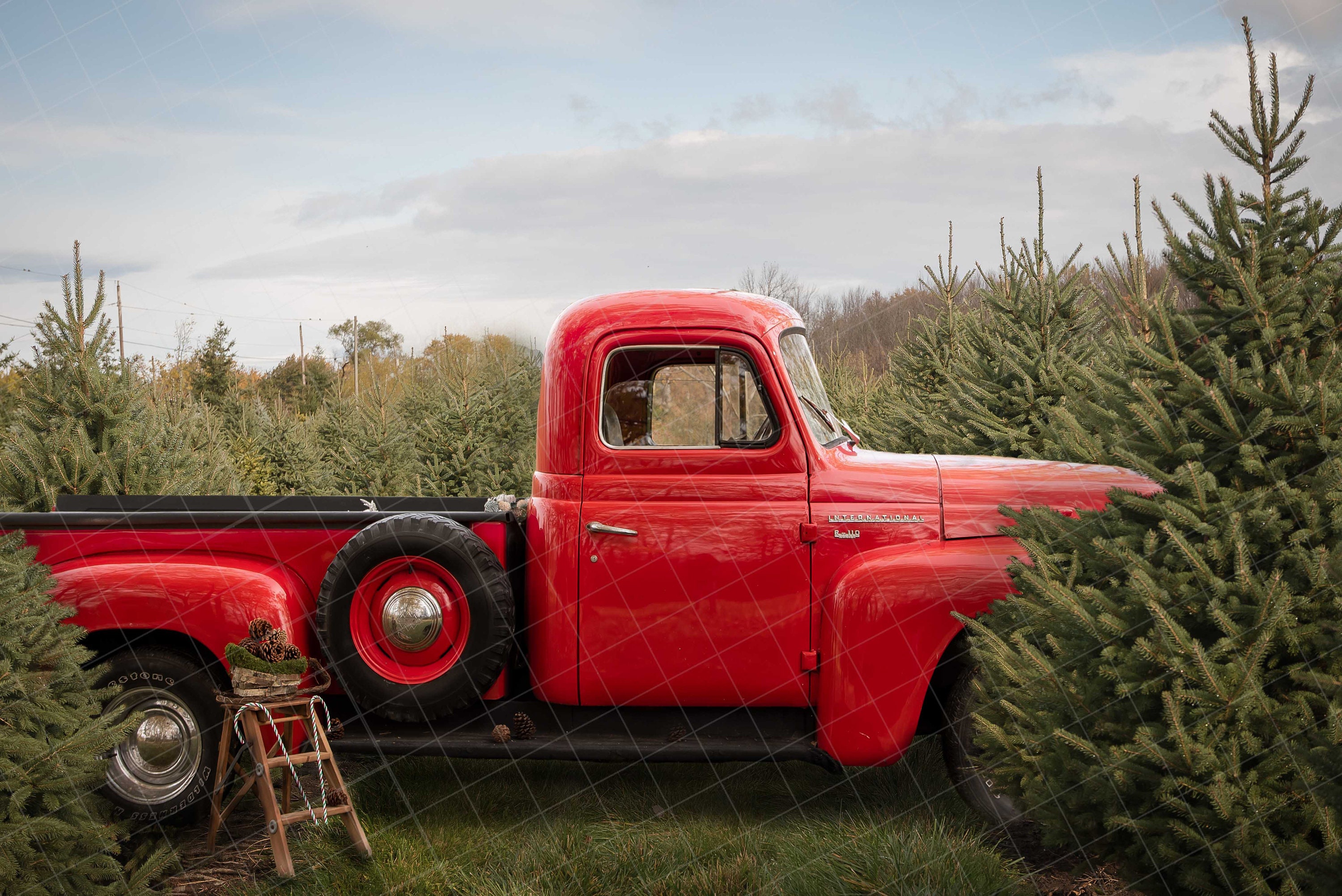 Vintage Red Truck in the Christmas Trees-2 Different Digital - Etsy