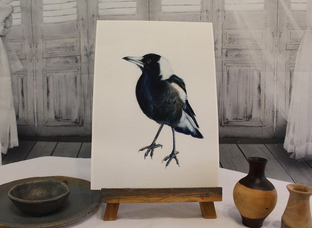 Fluffy Magpie Wall Art. Australian Magpie Art Print. Magpie Gift, Gift ...