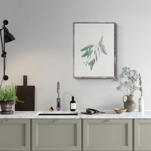 Queensland Blue Gum Eucalyptus Leaves. Pencil Botanic Art Drawing by ...