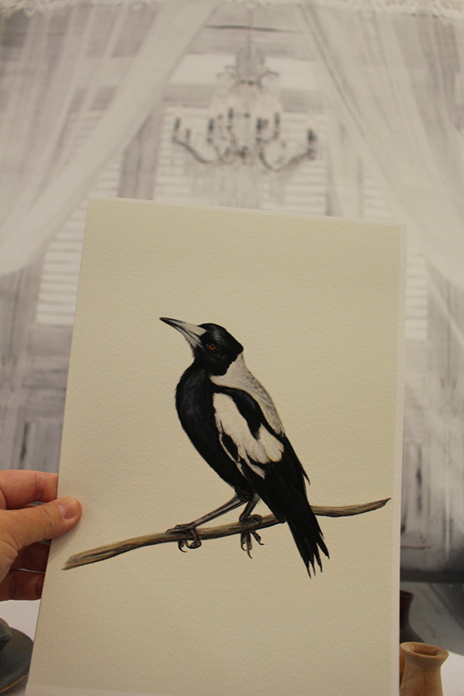 Magpie Wall Art. Australian Magpie Drawing Print. Collingwood - Etsy