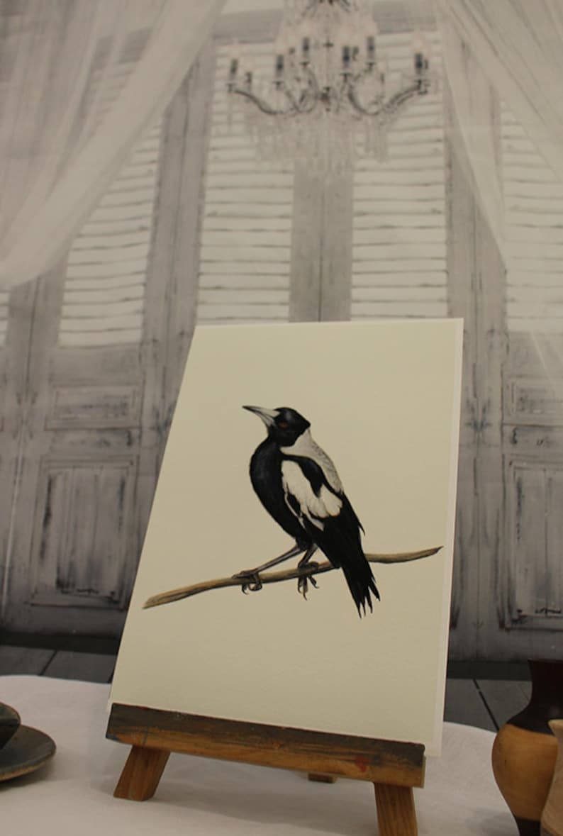 Magpie Wall Art. Australian Magpie Drawing Print. Collingwood - Etsy