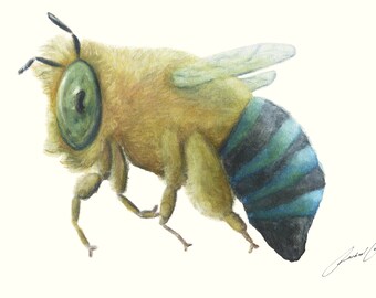 Native Bee Art - Etsy