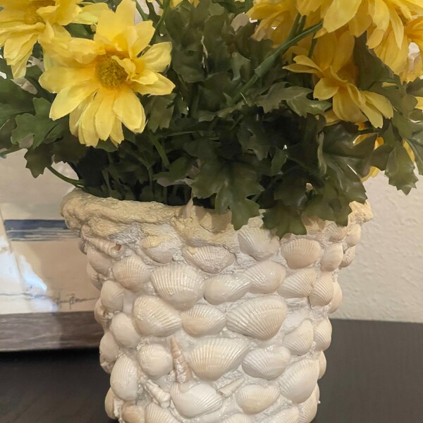 Seashell Planter - Etsy
