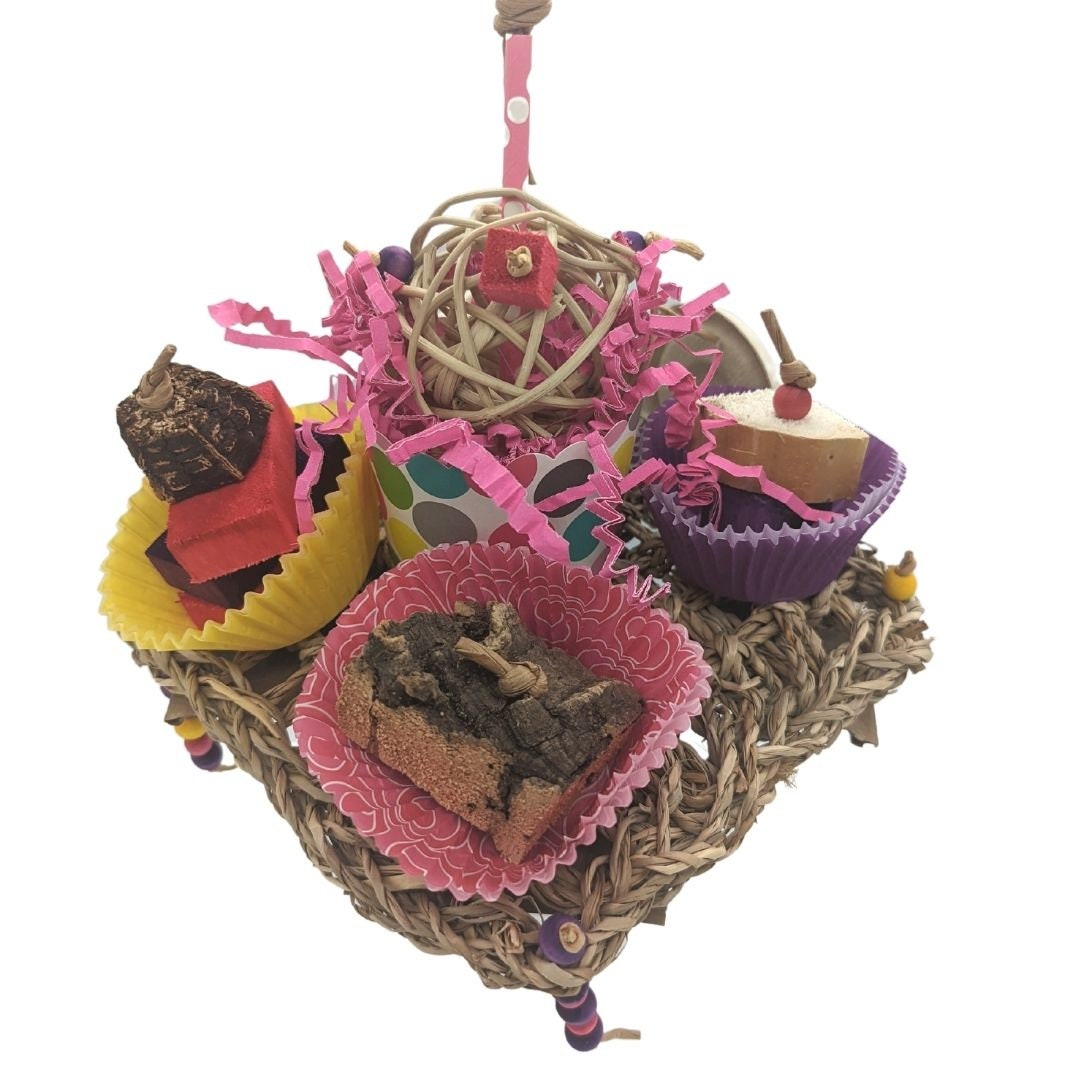 Hatchday Parrot Party Tray Toy, Birthday Bird Toy - Etsy
