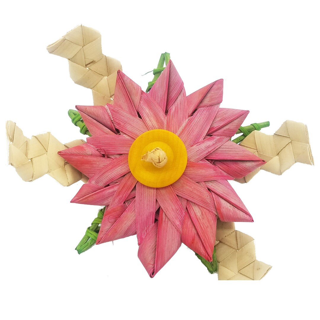 Daisy Shredding Bird Toy: Palm, Vine Chew for Parrots and Small Animals ...