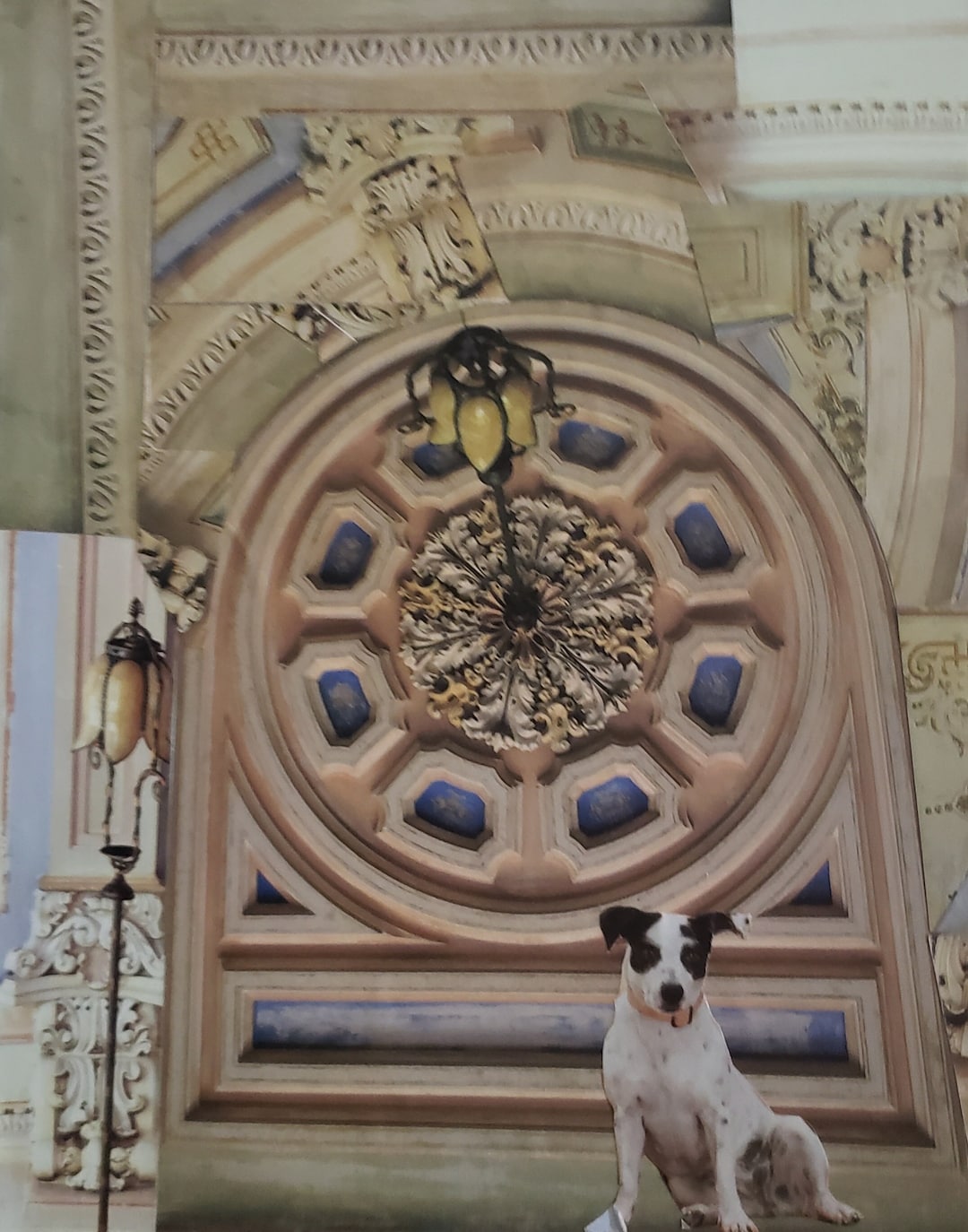 Dog on the Ceiling: Collage on Cardboard, Architecture - Etsy