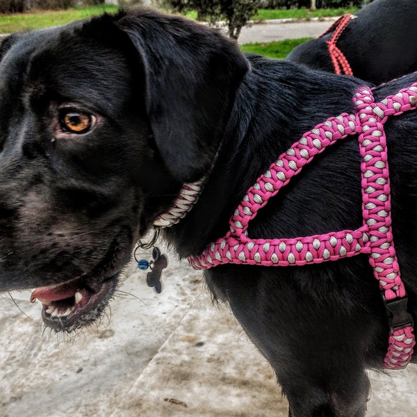 Paracord Dog Harness - Etsy