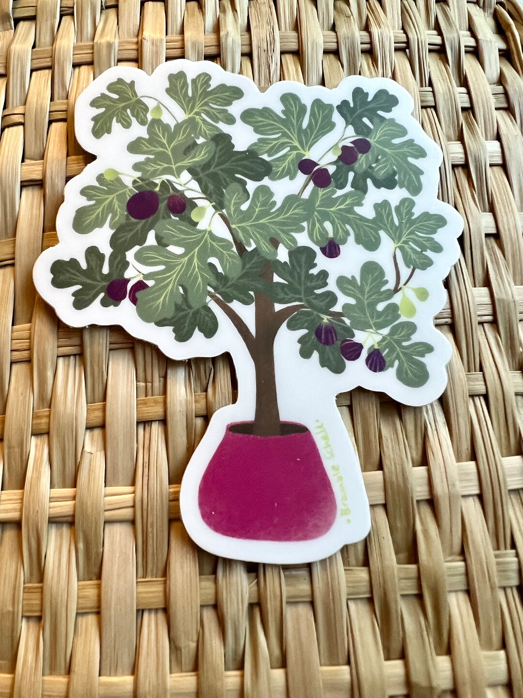 Fig Tree Vinyl Die Cut Sticker, Original Digital Illustration, Italian ...