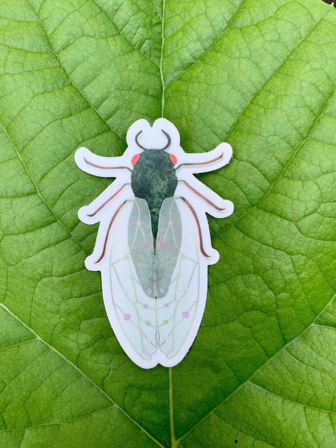 Cicada Vinyl Diecut Sticker, Insect Stickers, Original Illustration ...