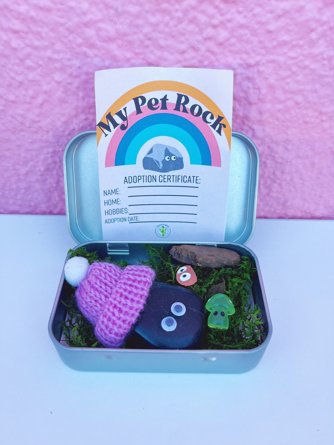 Pet Rock Friend for All - Etsy