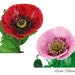 PDF Pattern French Beaded Poppy, Beaded Coloured Poppies Tutorials ...