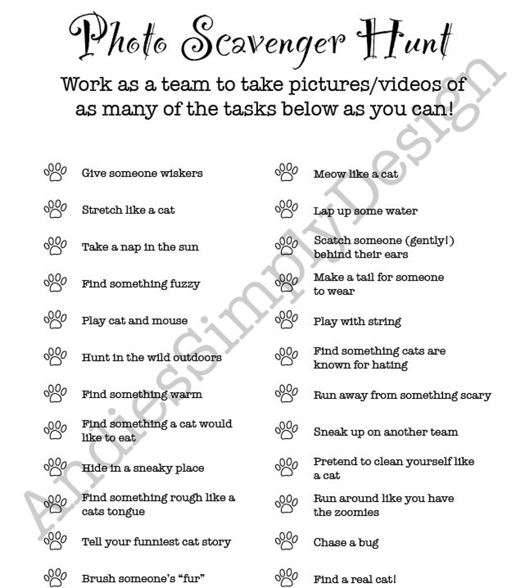 Cat Themed Photo Scavenger Hunt - Etsy