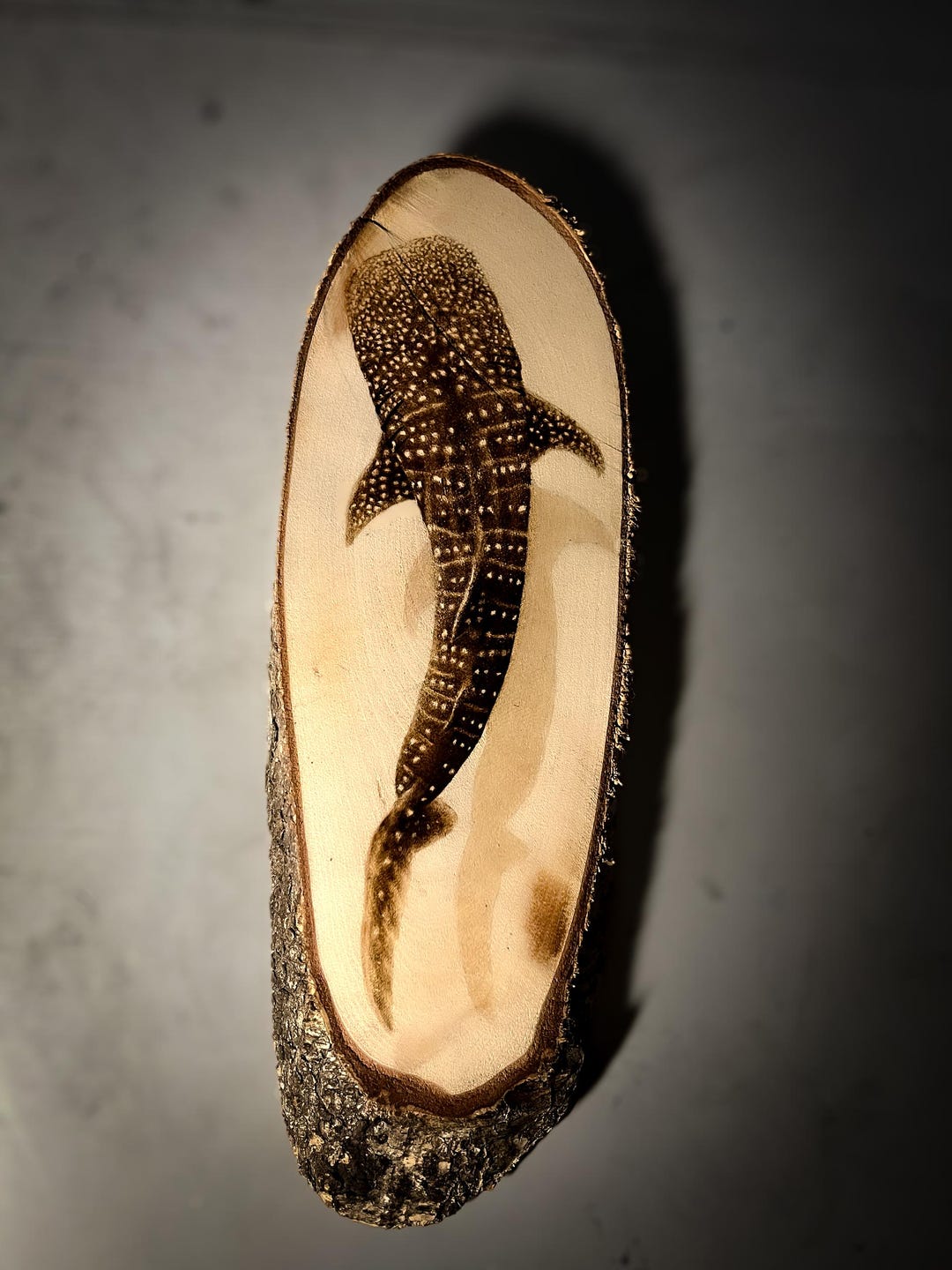 Pyrography: Hand-burned Whale Shark on Birch Wood - Etsy