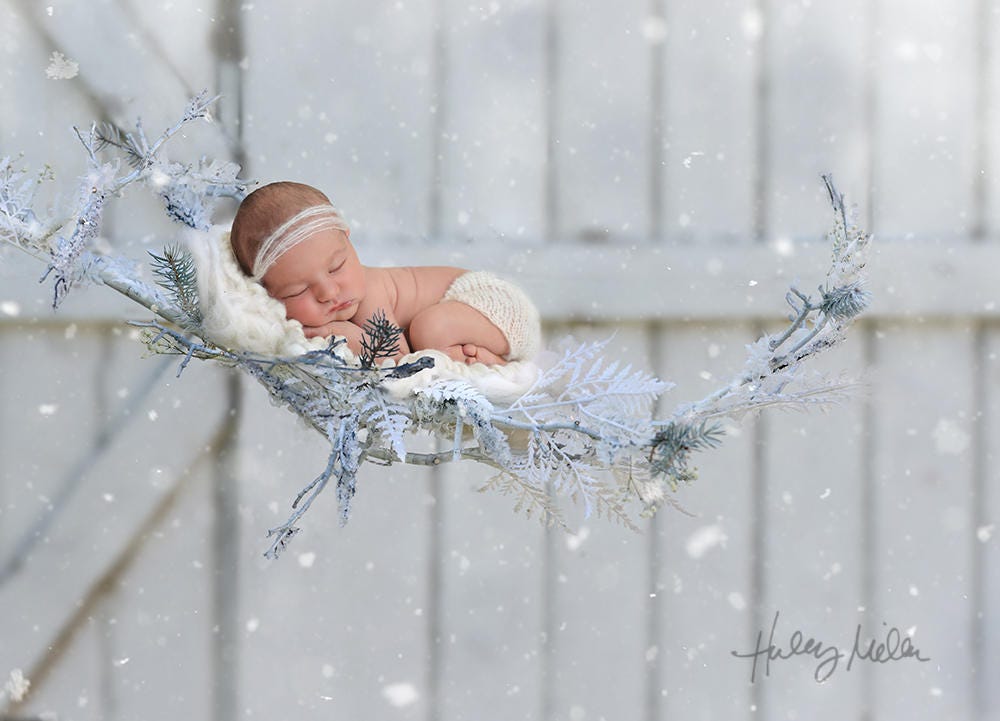 Winter Branch Newborn Digital Backdrop/Background Falling Snow | Etsy