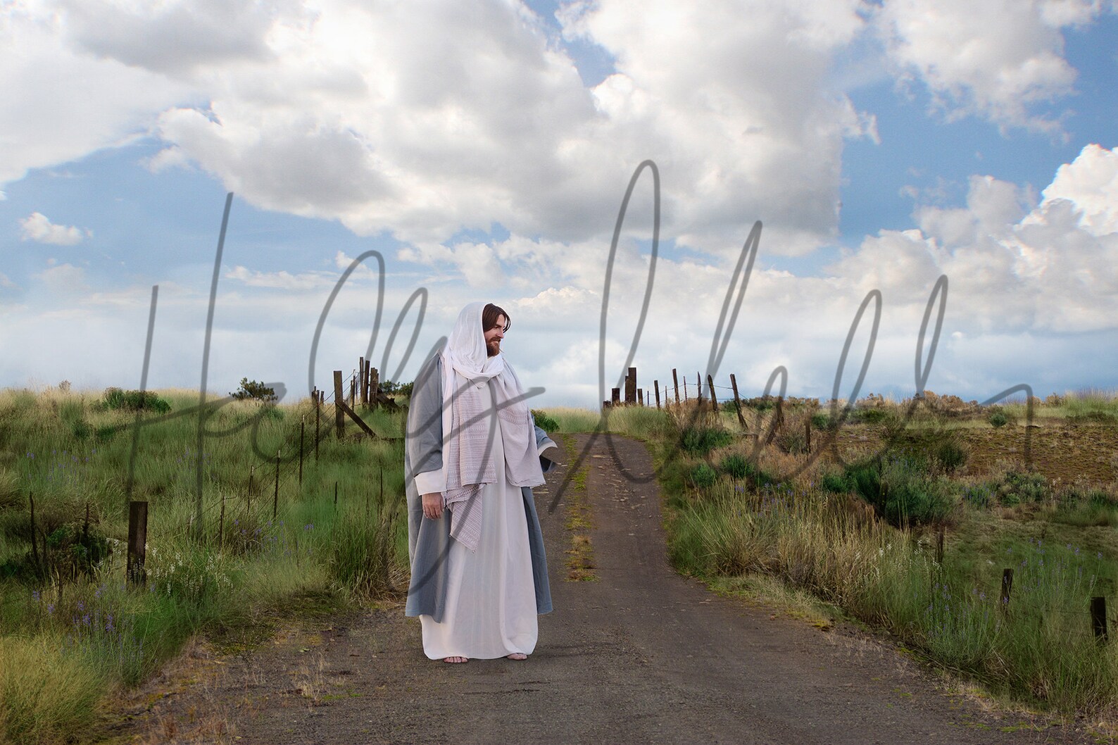 Jesus Christ on Path in Spring Field Digital Backdrop - Etsy