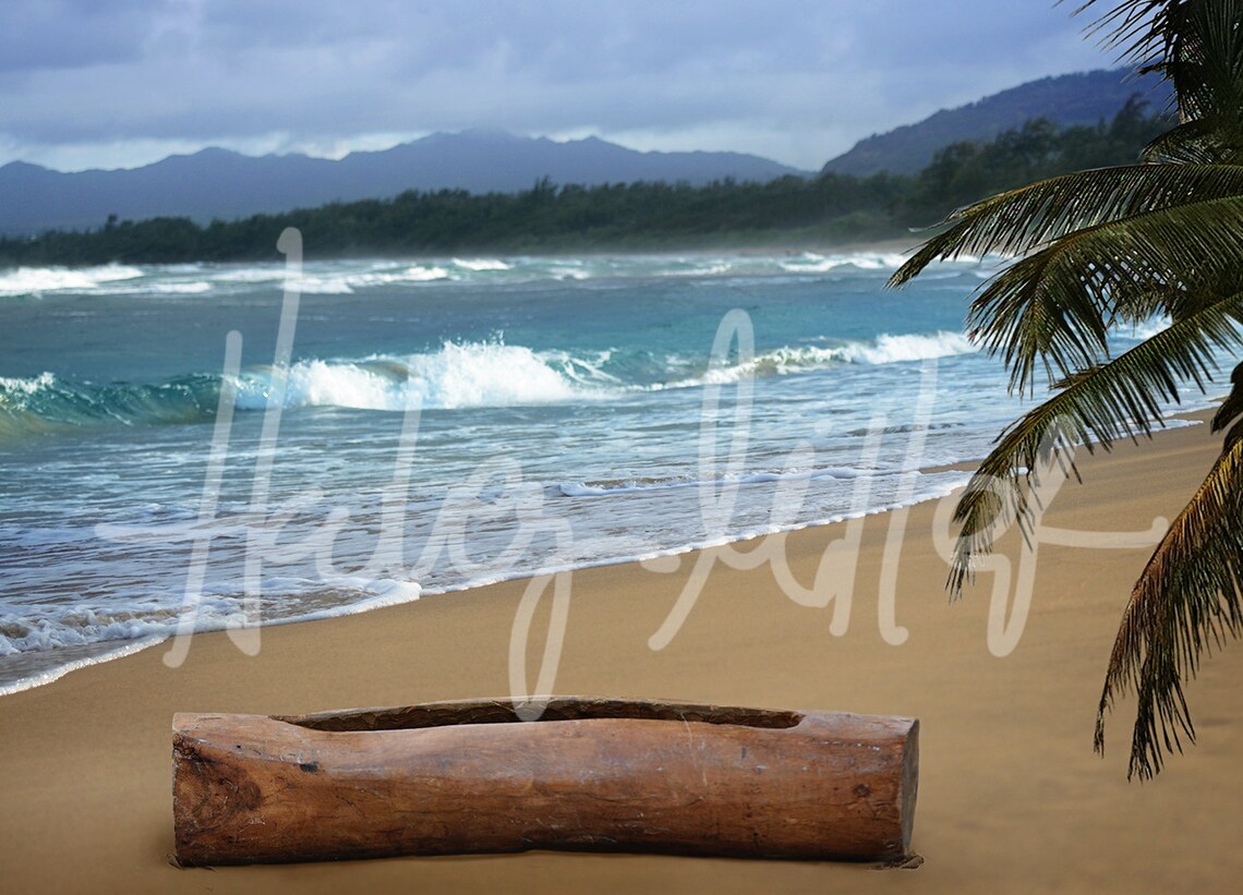 Instant Download Digital Backdrop Hawaii Beach Backdrop | Etsy