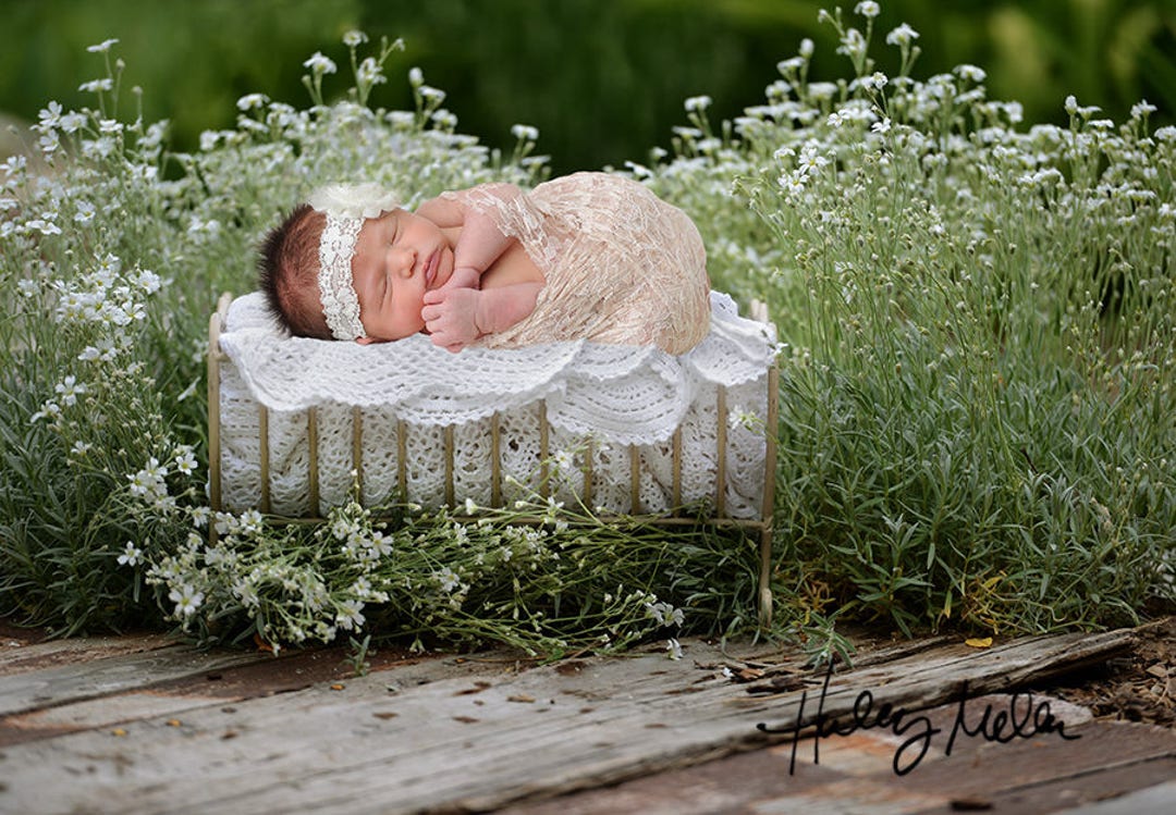 Newborn Digital Backdrop/background - Outside in White Flowers ...