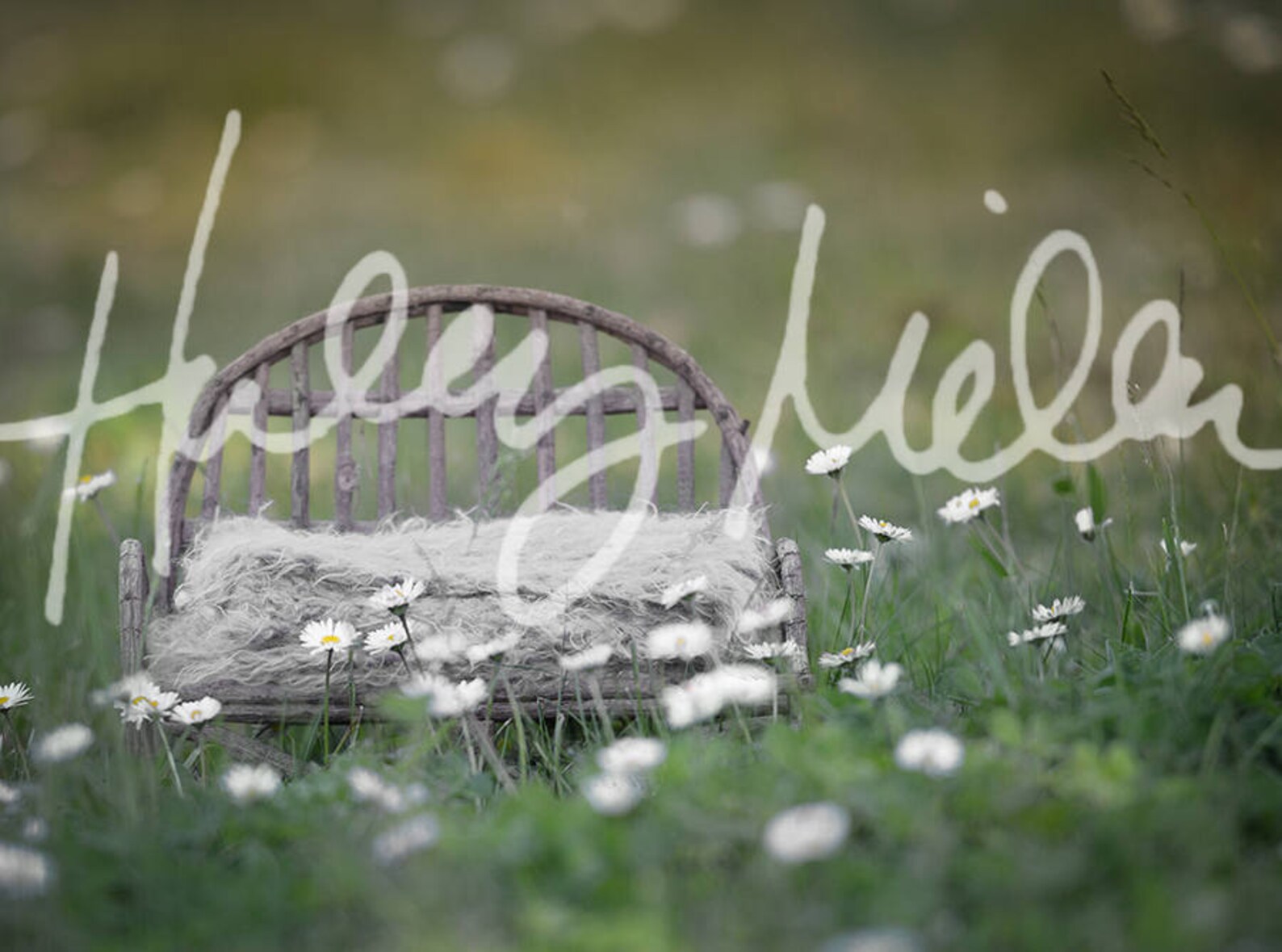 Newborn Digital Backdrop Wooden Bench Outside Instant Download! - Etsy