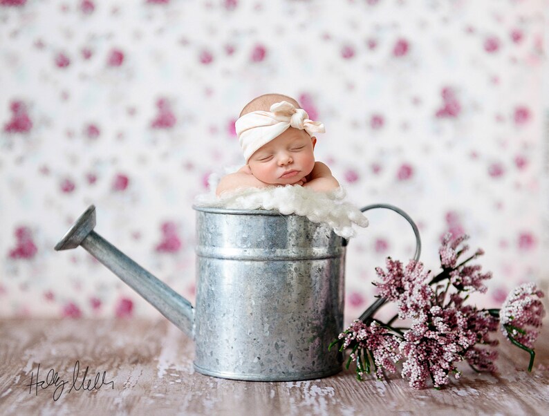 Newborn Digital Backdrop/background - Spring Background - Newborn ...