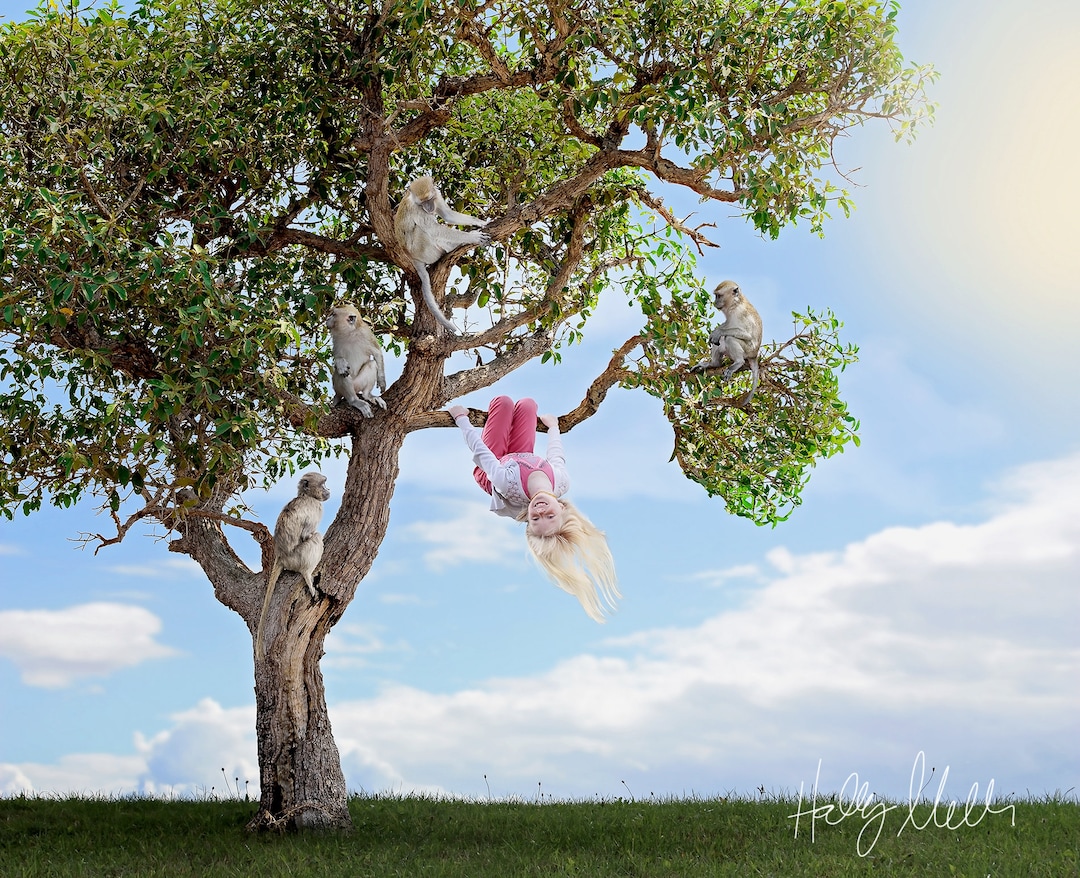 Digital Backdrop/background - Climbing Tree - Lone Tree - Tree in Field ...