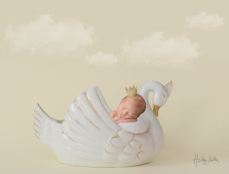 Swan Princess Newborn Girl Digital Background/backdrop + Digital Crown ...