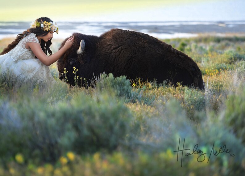 Magical Buffalo Field Digital Backdrop/background - Etsy