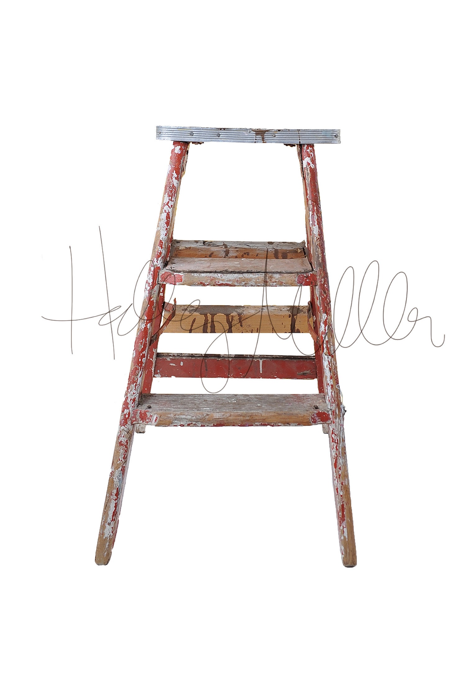 Painters ladder store