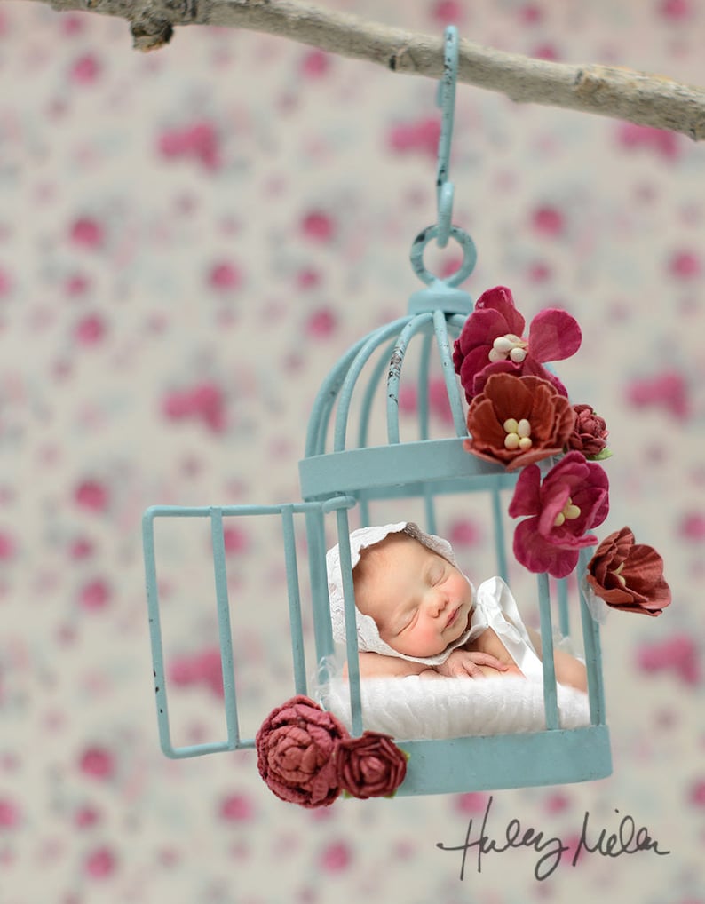 Newborn Girl Digital Backdrop/background Vintage Turquoise - Etsy