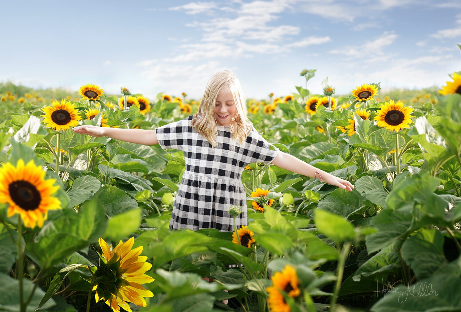 Sunflower Field Digital Backdrop Background - Etsy