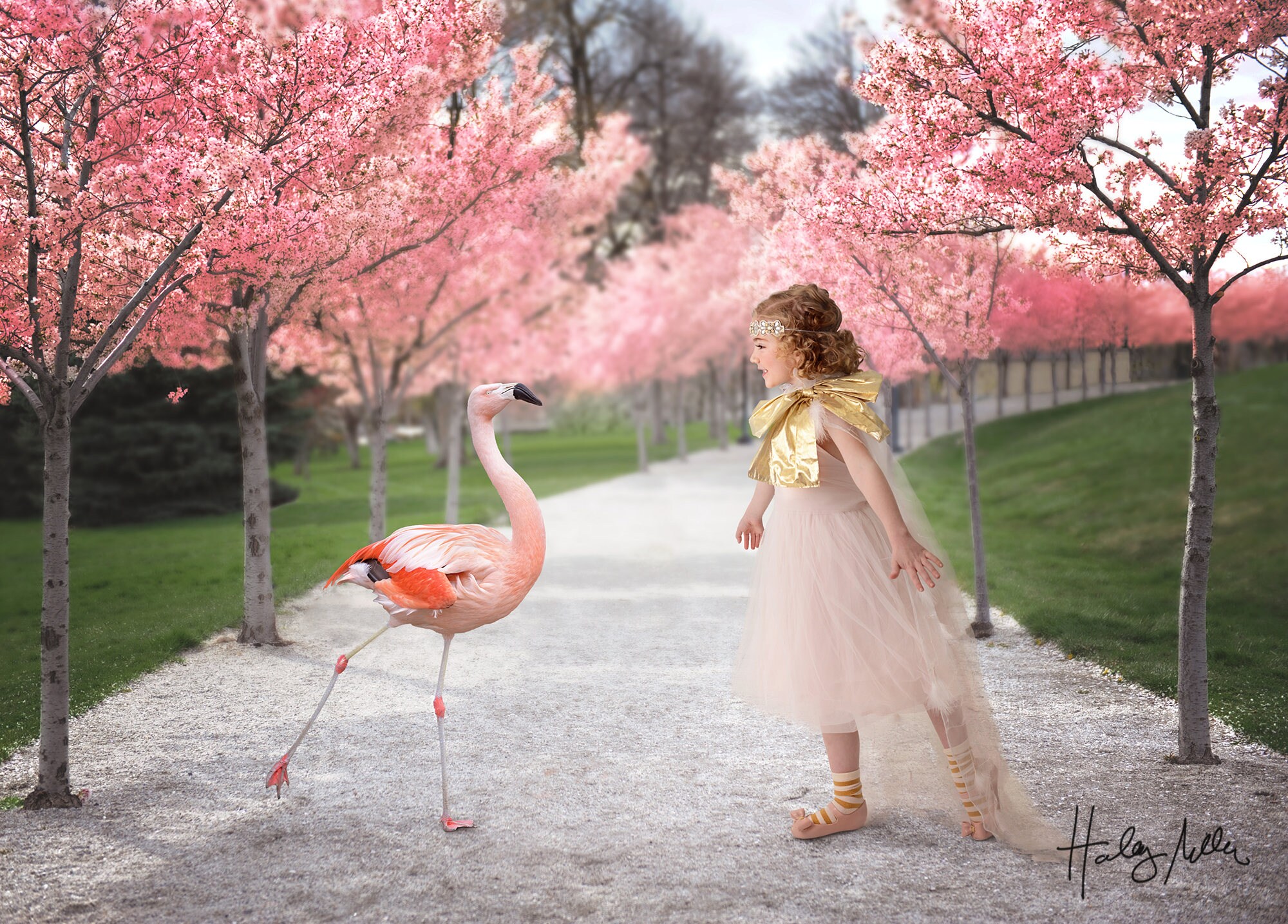 Flamingo Spring Pink Blossom Pastel Beach Digital Background | Etsy