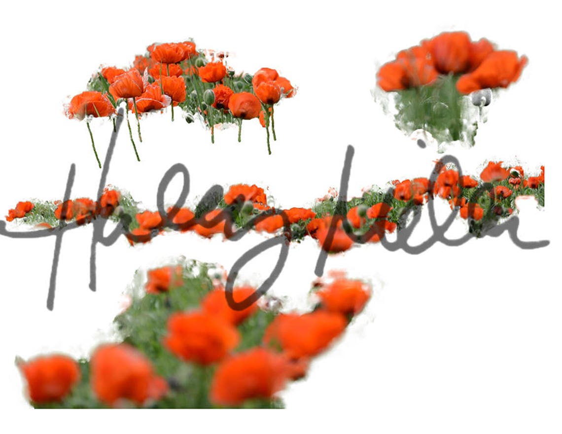 On Sale 2x Digital Backdrop Red Poppy Field/poppy PNG Overlay - Etsy