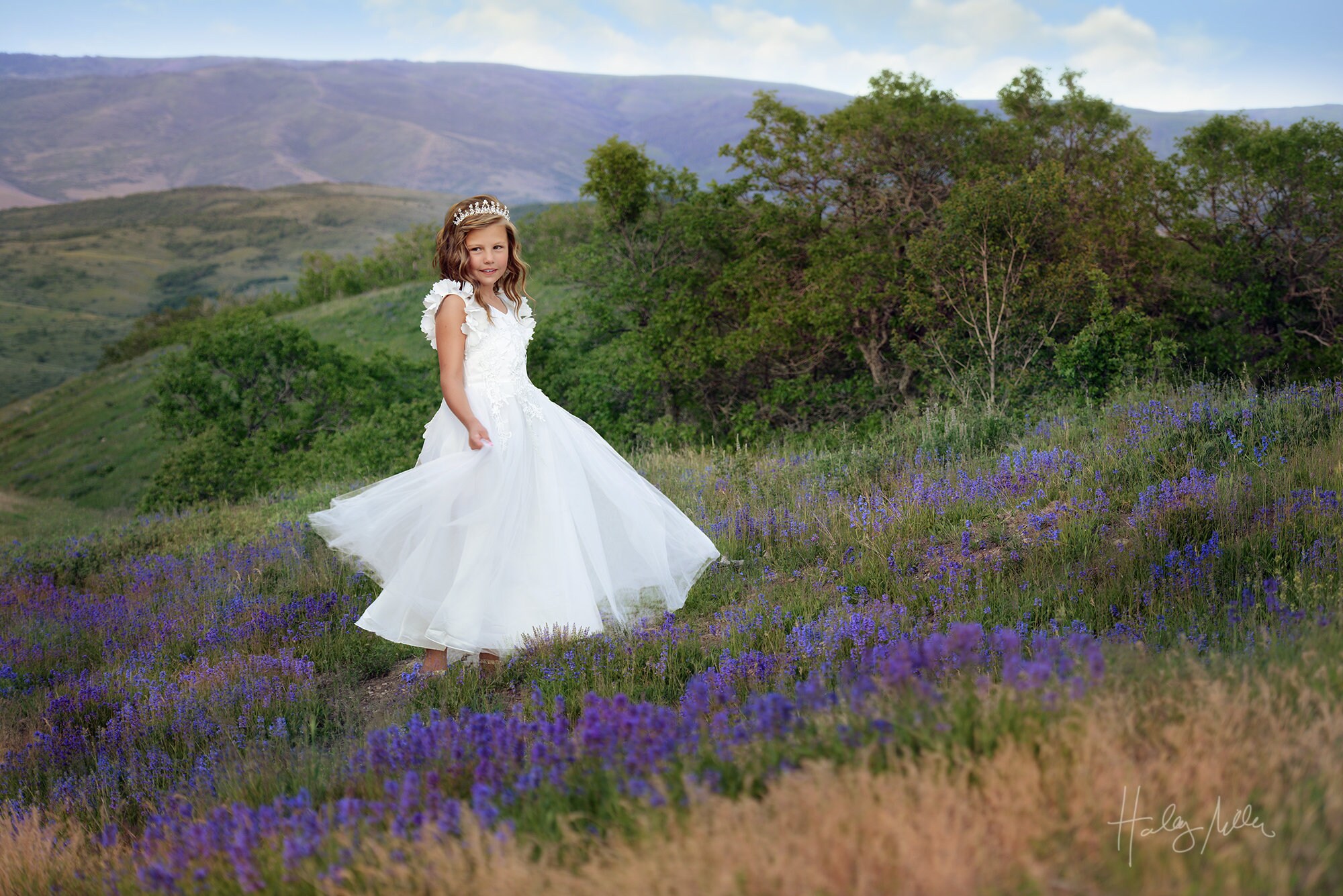 4 pack Beautiful Princess Purple Bluebell Field of Flower | Etsy