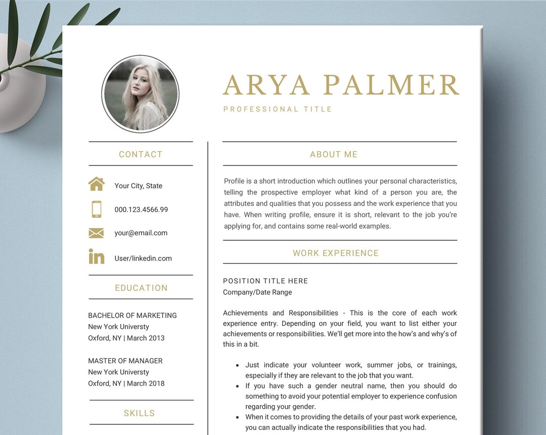 Modèle de CV professionnel, CV Word, CV moderne, lettre de motivation ...