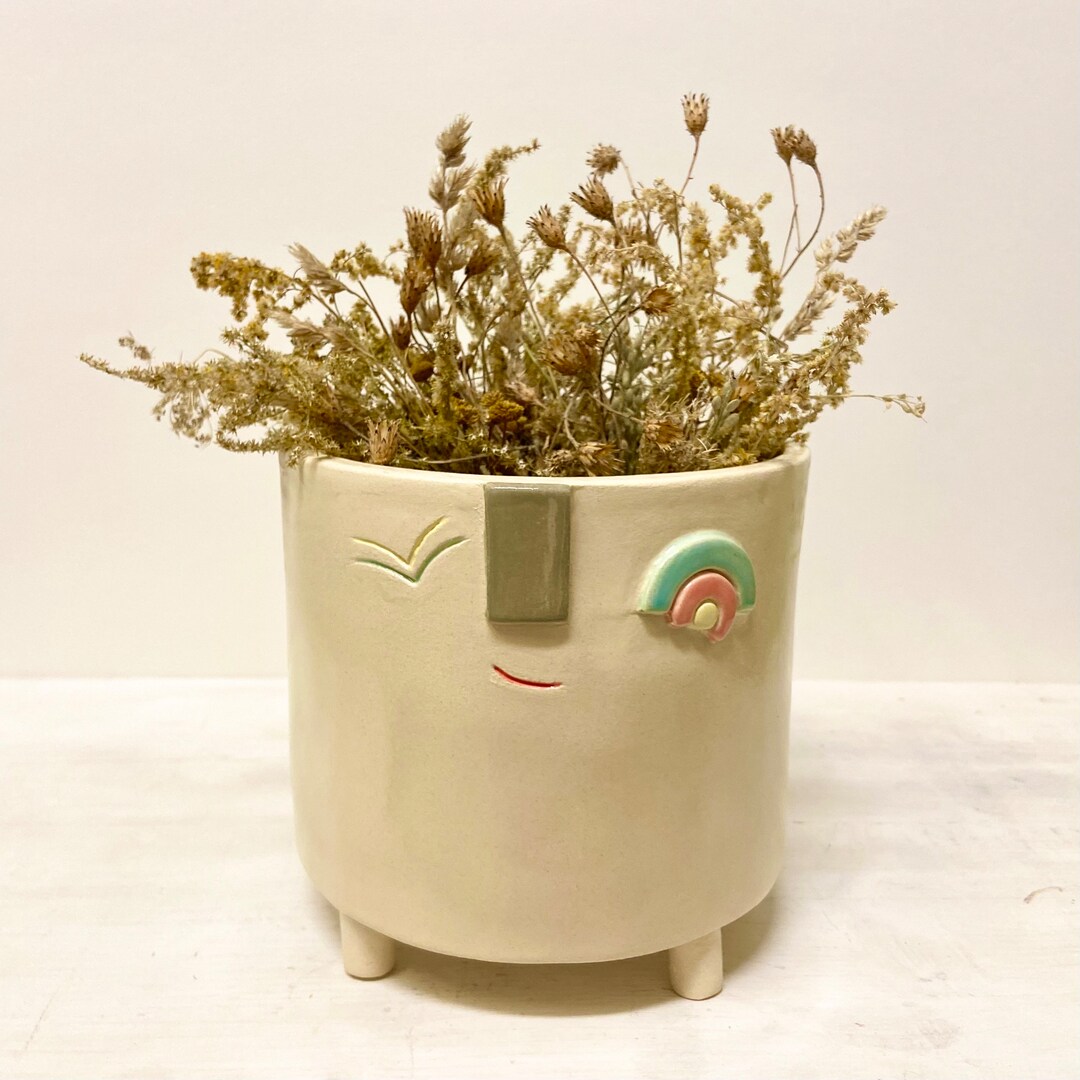 Laughing Rainbow Flower Pot in Natural Tone With a Cute Face, Stands on ...