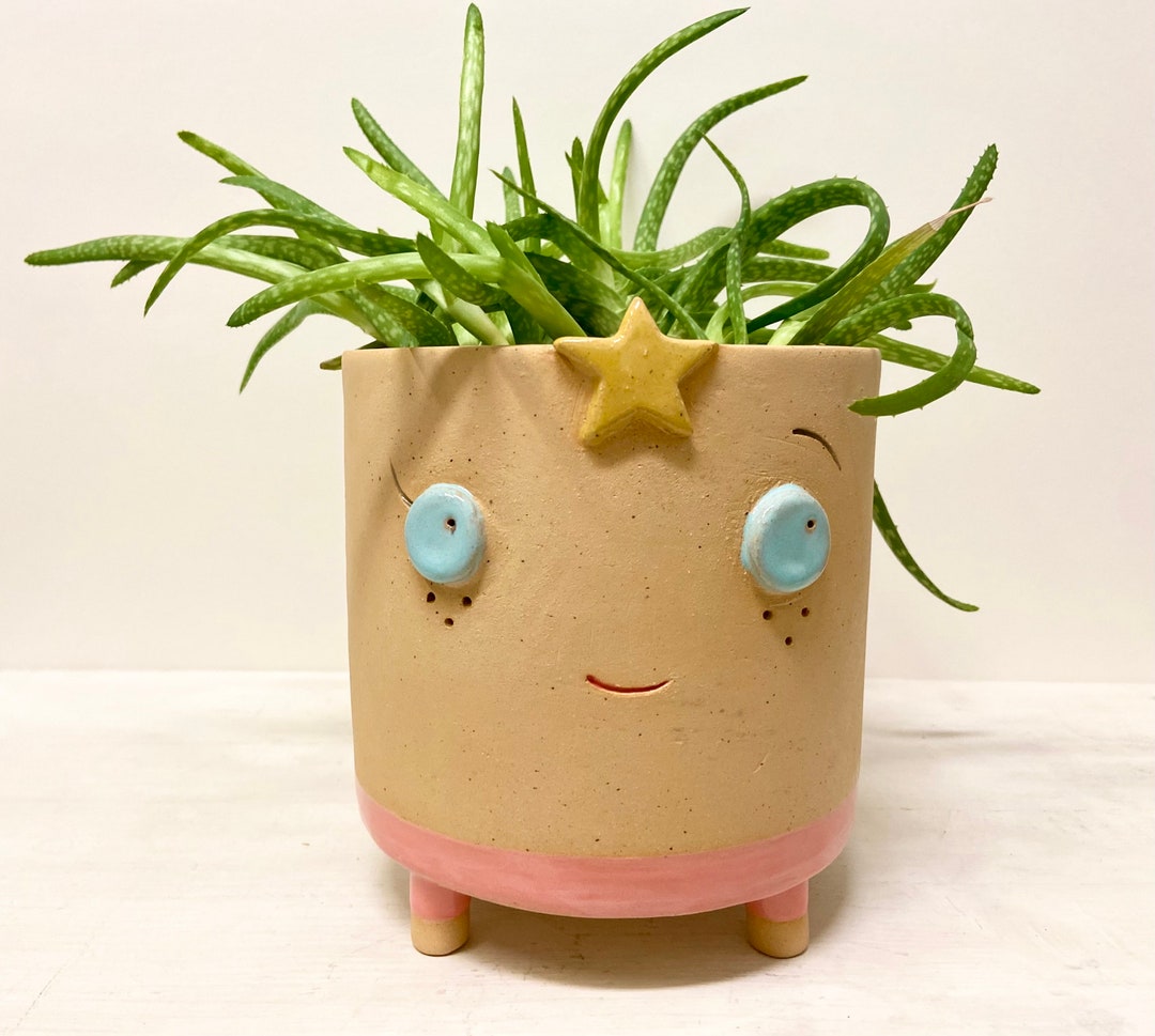 Flower Pot little Star With a Cute Face in Natural Tone and Colorful ...