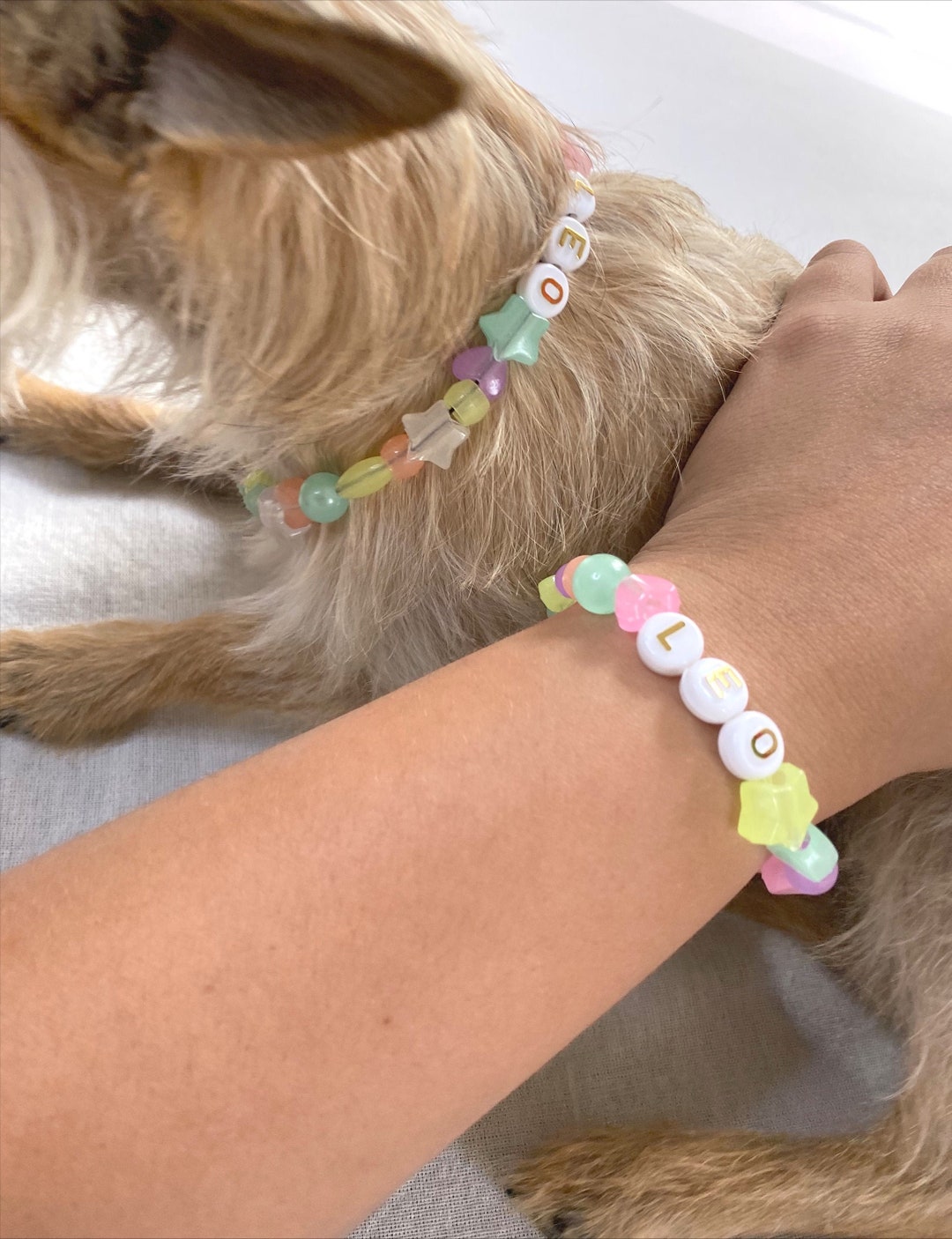 Dog Beaded Necklace, Dog and Owner Necklace, Bead Dog Collar, Custom ...
