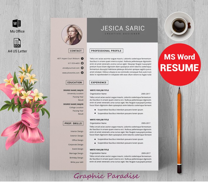 12 Professional Ms Word Resume Template for Best Price, Resume Template ...