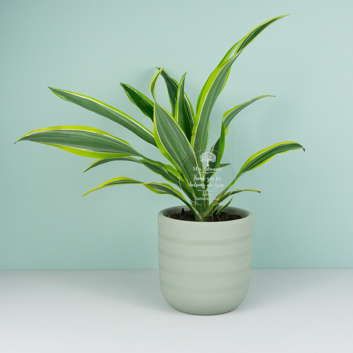 Personalised End of Year Teacher Gift. House Plant Gift Tag Topper ...