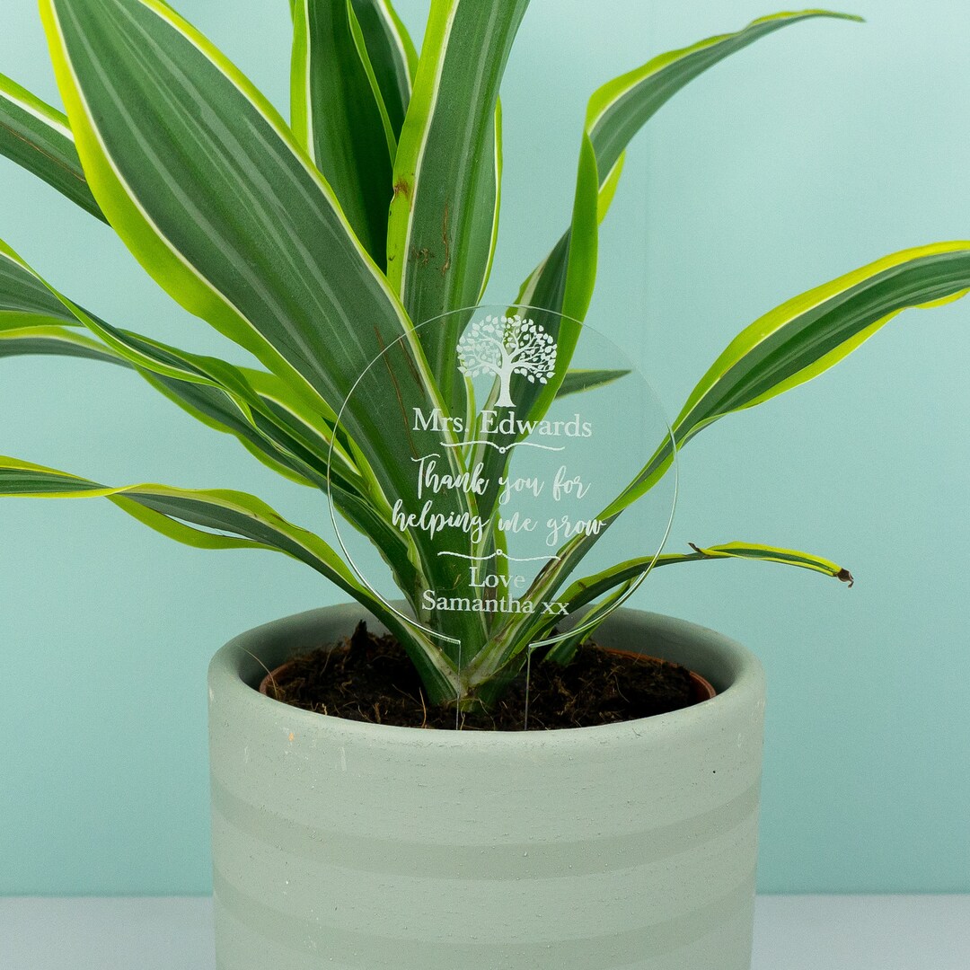 Personalised End of Year Teacher Gift. House Plant Gift Tag Topper ...