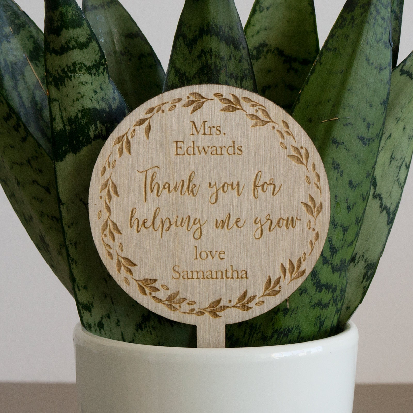 Personalised Teacher's House Plant Gift Tag Decoartion. - Etsy UK