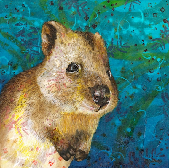 Quokka Fine Art Print Quokka Art Australian Animal Art - Etsy