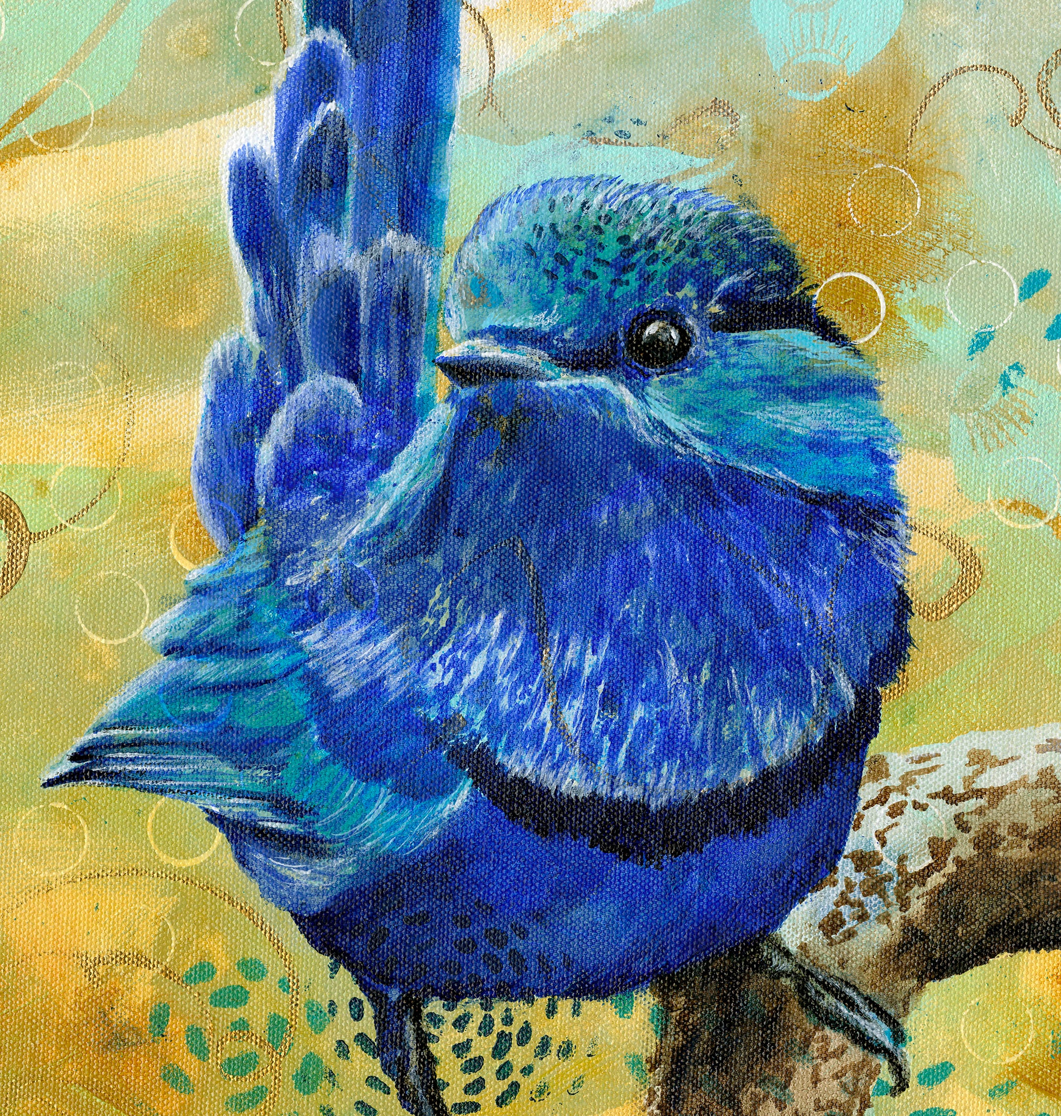 Blue Wren Fine Art Print Splendid Fairy Wren Australian Bird Art Superb ...