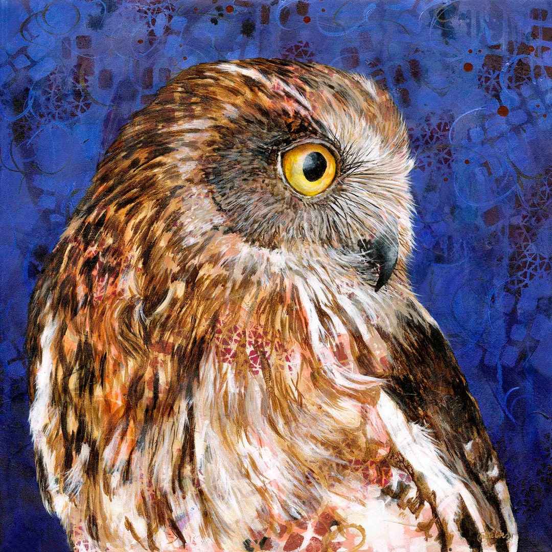 Owl Fine Art Print - Boobook Owl Portrait - Australian Owl - Archival ...