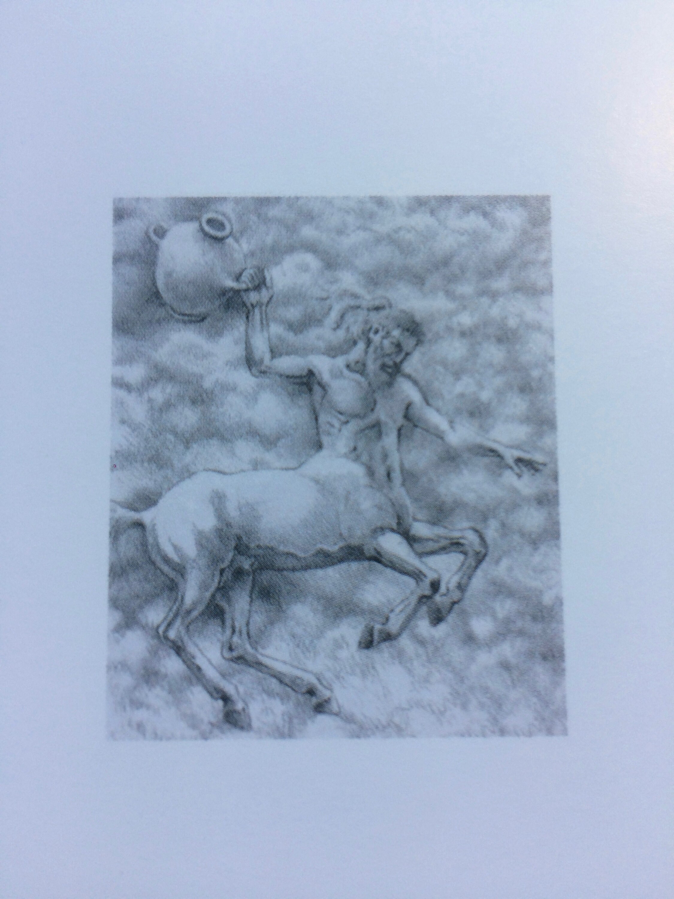 Double Greeting-card "centaur". Comes in Foil Map. Enveloppe Included ...