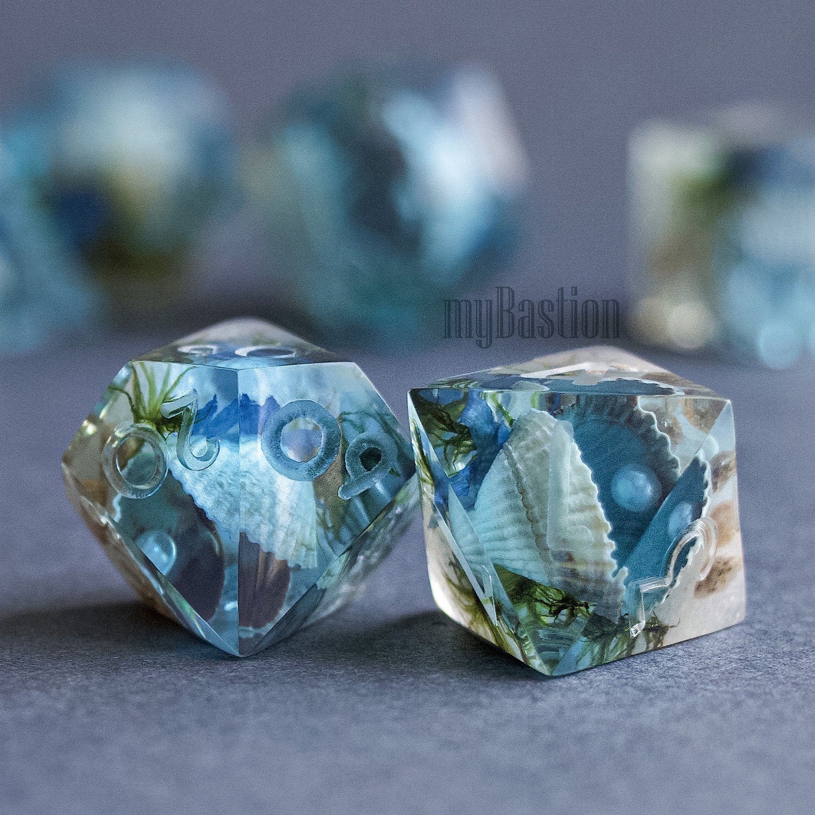 Handmade Sea Shell Polyhedral Dice Set - Resin RPG Dice - Etsy