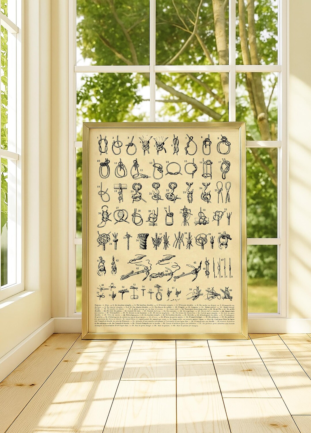 Vintage Knotentabelle | Antike Seil Knoten Illustration | Nautische ...